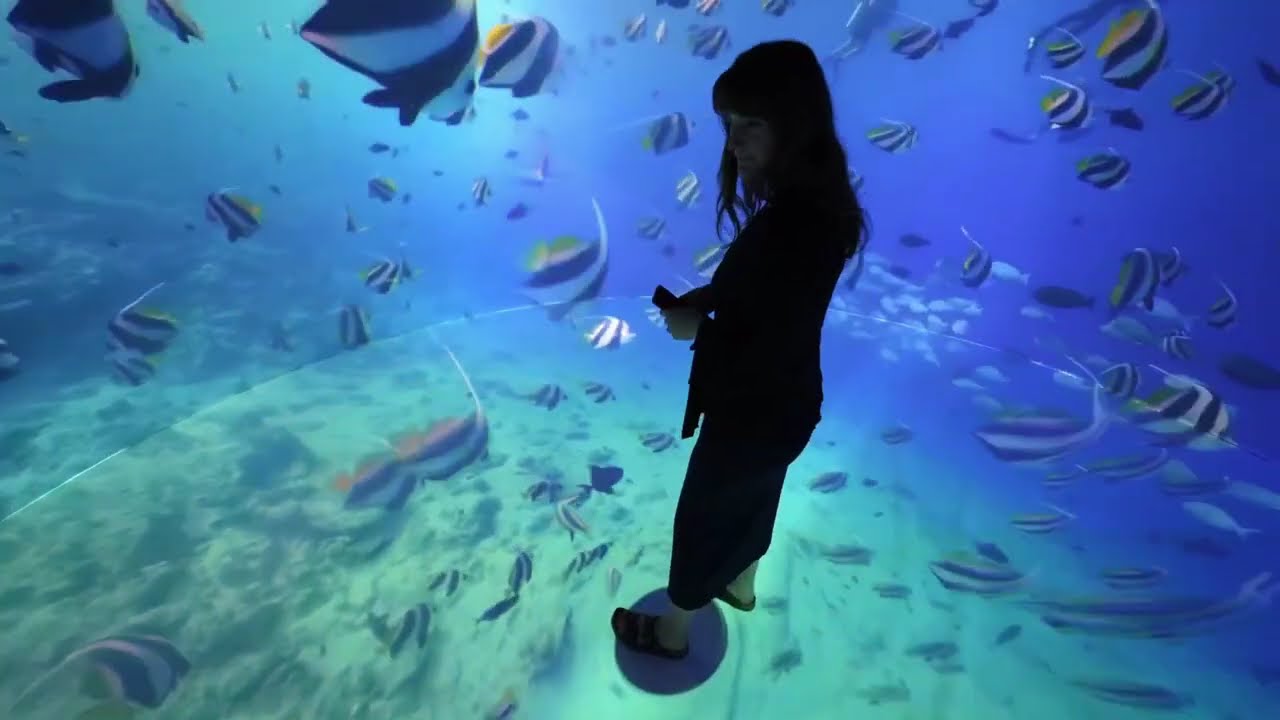 Igloo Vision Core Engine 2024 | Powered by MetaVox International