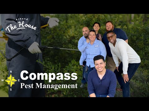 Compass Pest Management
