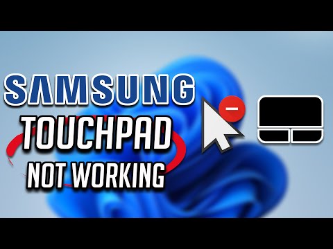 Samsung Touchpad Not Working in Windows 11 [2025 Tutorial]