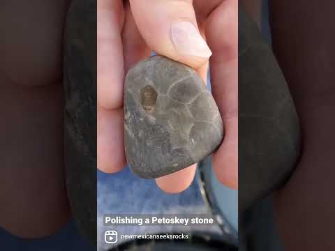 Hand-polishing a Petoskey stone. Shout-out to @MichiganRocks for the method. #rocks #thefinders