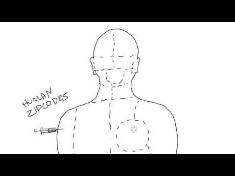 What is AAV and how does it work?
