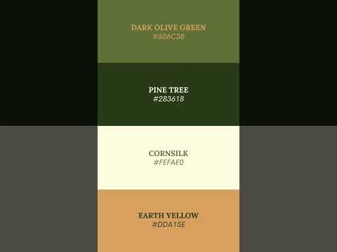 Top 5 color combinations for your web design 👌✨