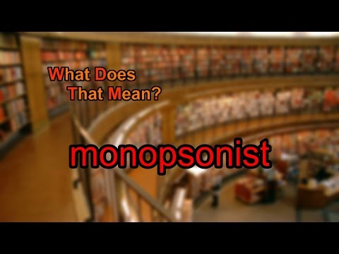 What does monopsonist mean?