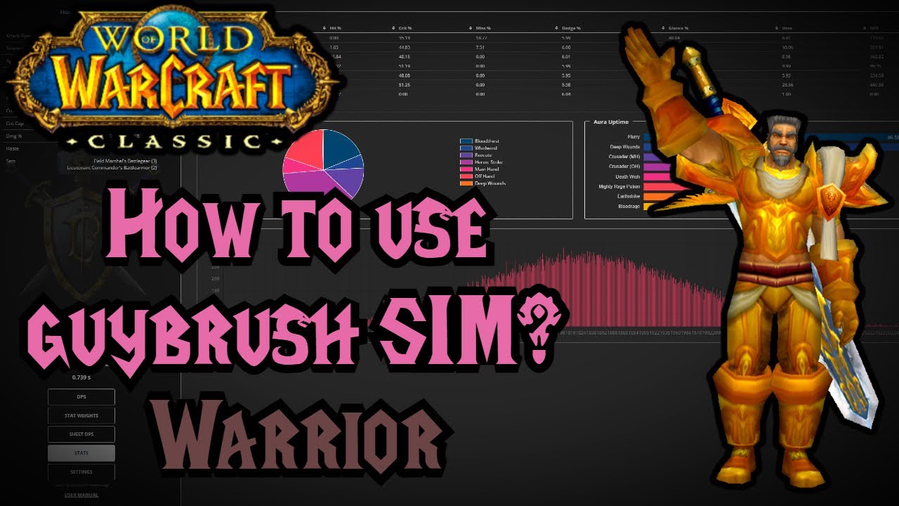 WOW Classic Warrior - How to use Guybrush Sim and compare with logs