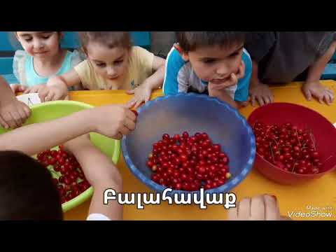 Բալահավաք — Մարիանա Դարբինյան