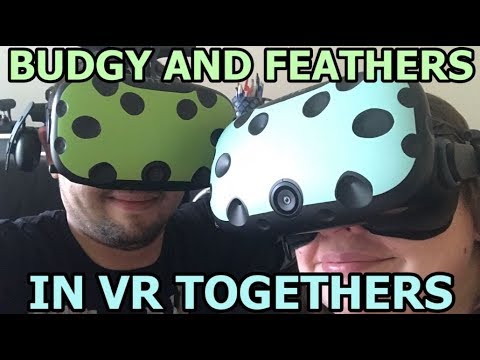 Steam Community :: Video :: Budgy and Feathers in VR Togethers