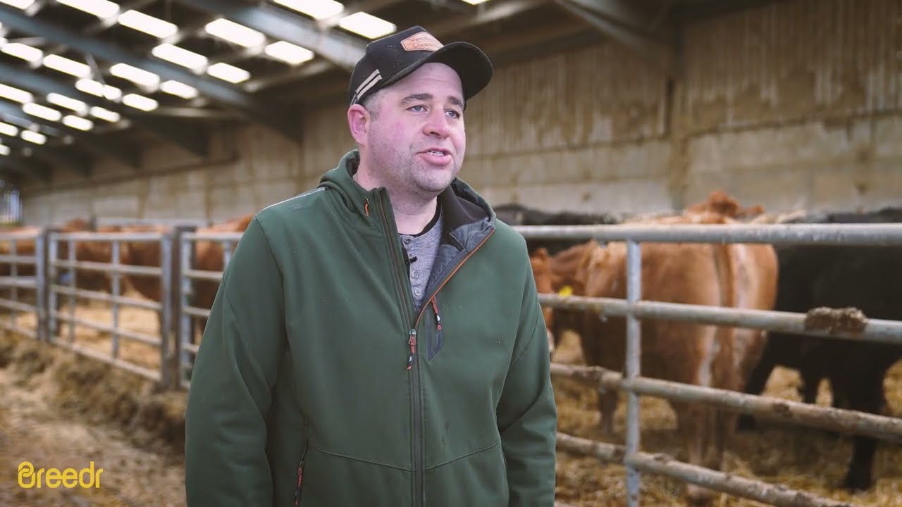 How One Farmer Uses Breedr to Drive Efficiency on Farm