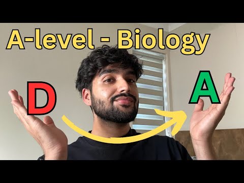 How I Turned A D into an A for A Level Biology