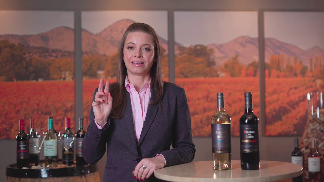 Harmonização de Vinhos – Introdução #AcademiaCyT