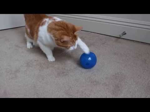 VERY CUTE FOOD BALL DISPENSER BATTLE