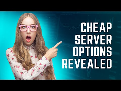Budget-Friendly Hosting Solutions: Unveiling the Cheap Dedicated Server Options - Raksmart