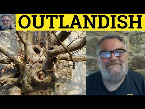 🔵 Outlandish Meaning - Outlandish Examples - Outlandish Defined - Outlandish - Strange Adjectives
