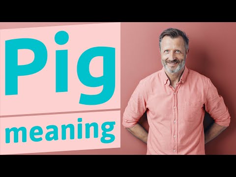 Pig | Meaning of pig