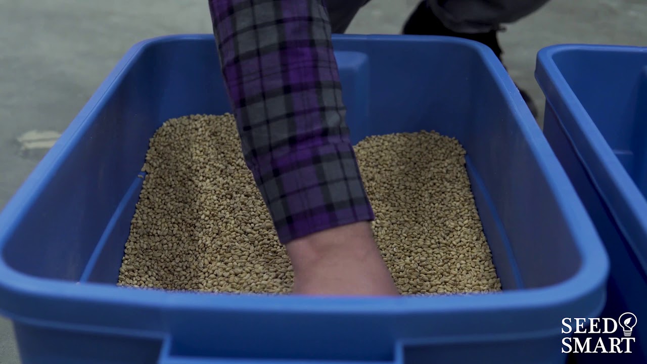 Seed Sampling Instructional Video