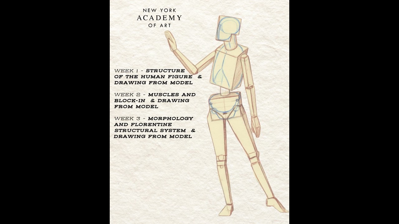 Essential Anatomy: Structure of Human Form - In Person