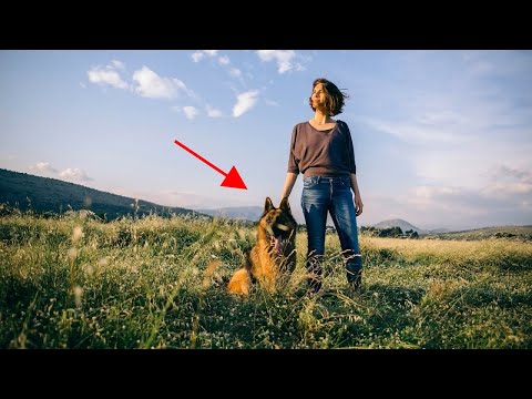 How To Train A Dog To Stop Eating Grass?