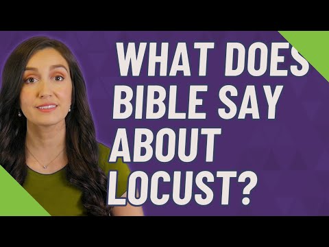What does Bible say about locust?