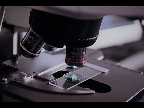 Medical Microscope - Nikon Medical Microscope Latest Price ...