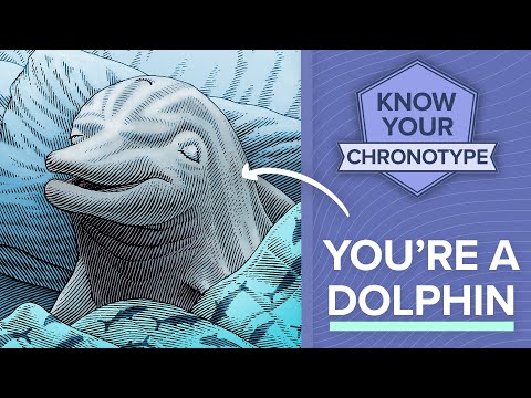 How dolphins are programmed to get poor sleep