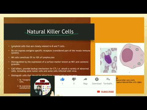 Natural killer cells lecture in Hindi or Urdu language