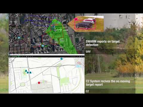 MSG 145 Swarming