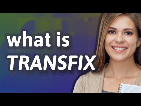 Transfix | meaning of Transfix