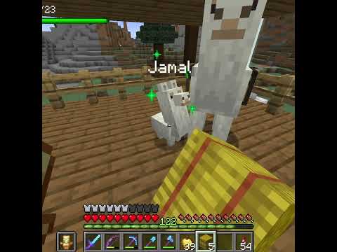 Day 7 of breeding llamas in Minecraft