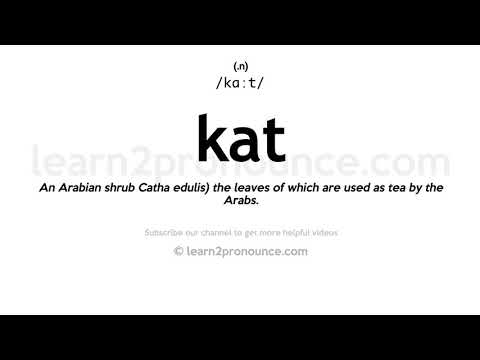 Pronunciation of Kat | Definition of Kat