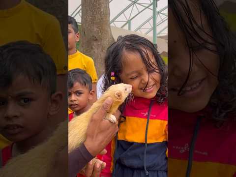 Experience & pet Farm animals 20KM from Bangalore #clickatale #placestovisitnearbangalore #shorts