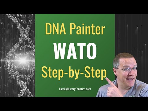DNA Painter What Are the Odds (WATO) Made Easy | Genetic Genealogy