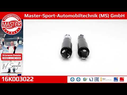 16K003022 | SHOCK ABSORBER KIT | Master-Sport-Automobiltechnik (MS) GmbH