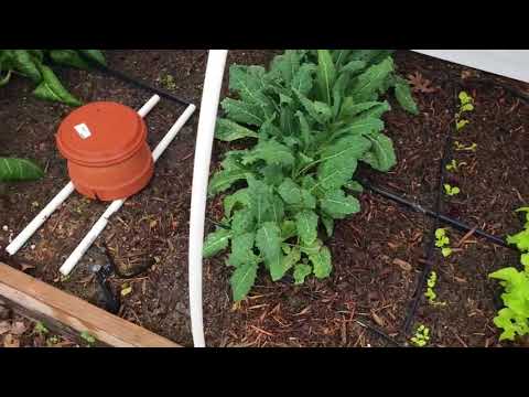Heat Your Hoop Houses With A Clay Pot | Savvy Organics Farm