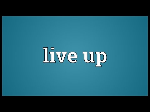 Live up Meaning
