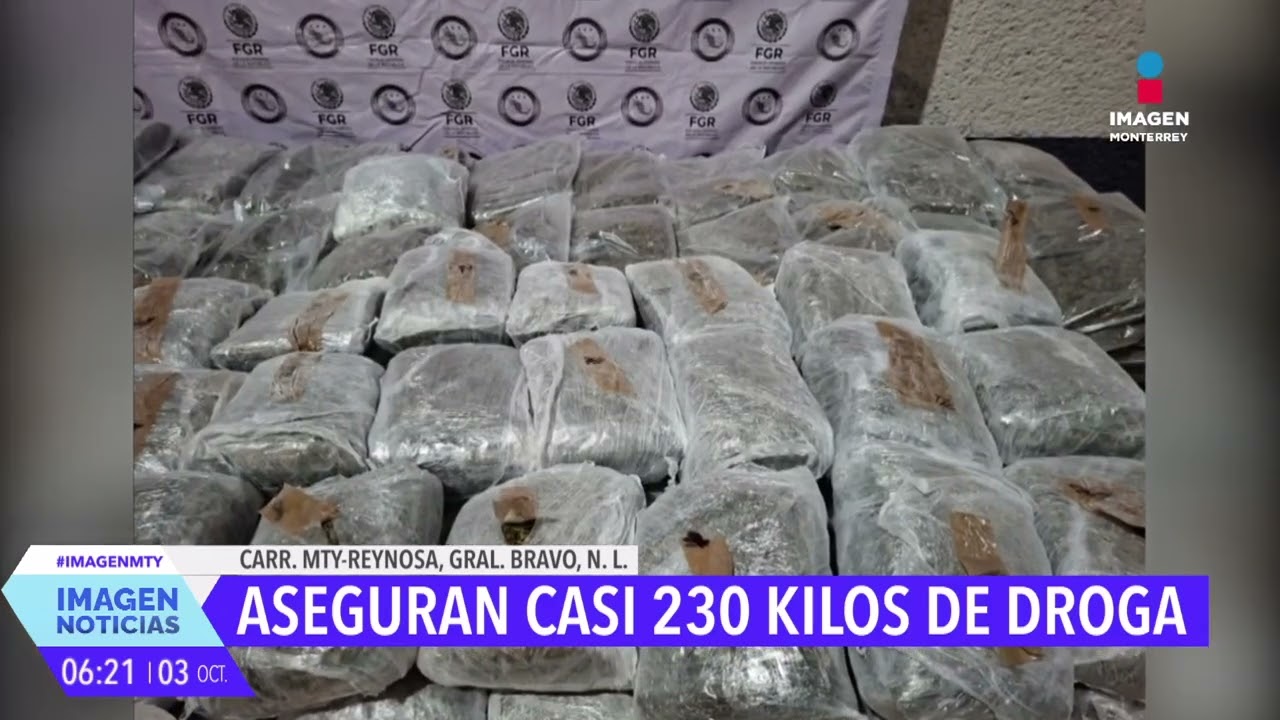 Aseguran 230 kilos de droga en General Bravo | Noticias MTY primera emisión