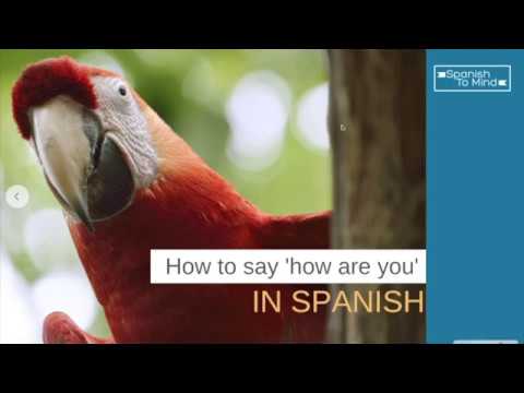 24 Different ways to say 'how are you' in Spanish