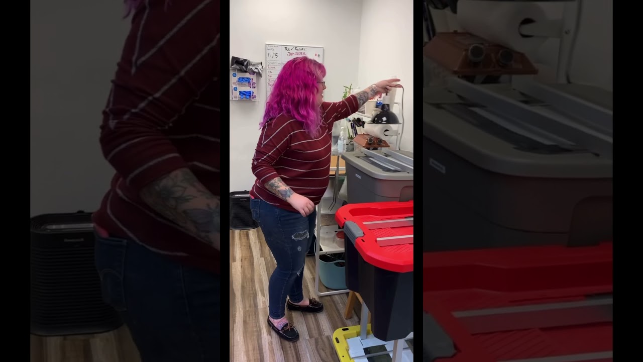 Our Adult Dubia Roaches!