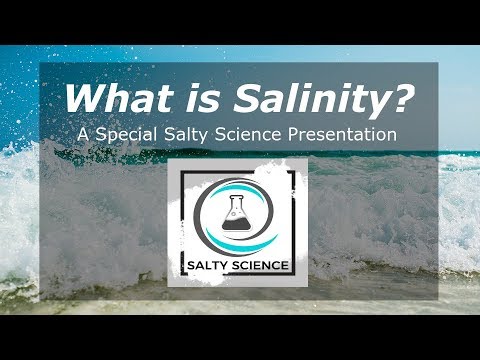 What is Salinity? | Salty Science & the Salt-Tea Café