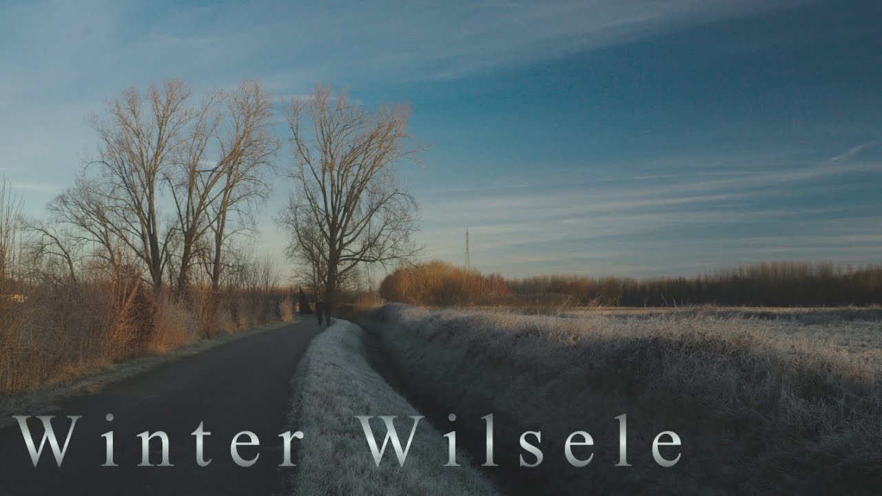 Wilsele Winter fields