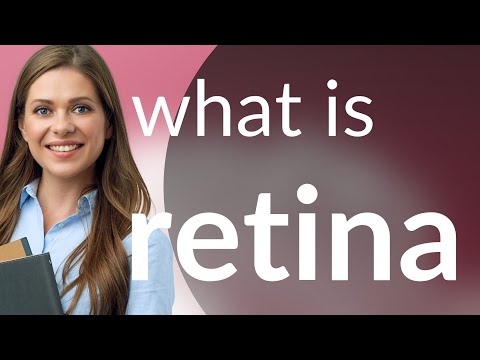 Retina • RETINA definition