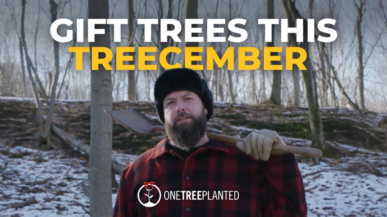 Gift Trees this Treecember | One Tree Planted