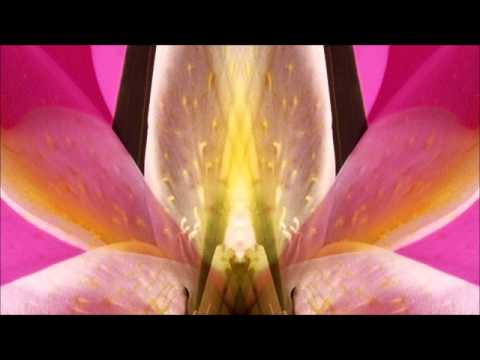 FloraFusion by Marina Papaspirou