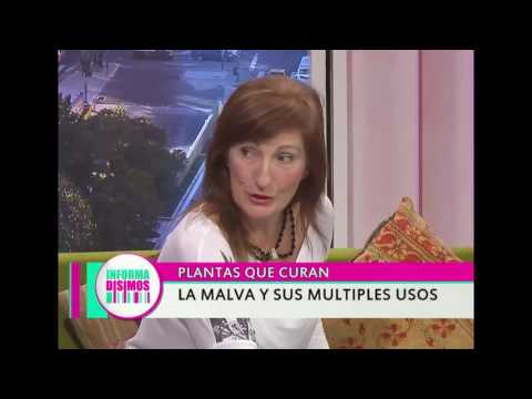 INFORMADISIMOS Magazine TV - Plantas medicinales emitido en vivo 10/05/2017