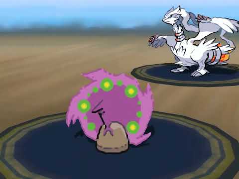 Pokémon White Version 2 (German) - Pkmn Trainer N