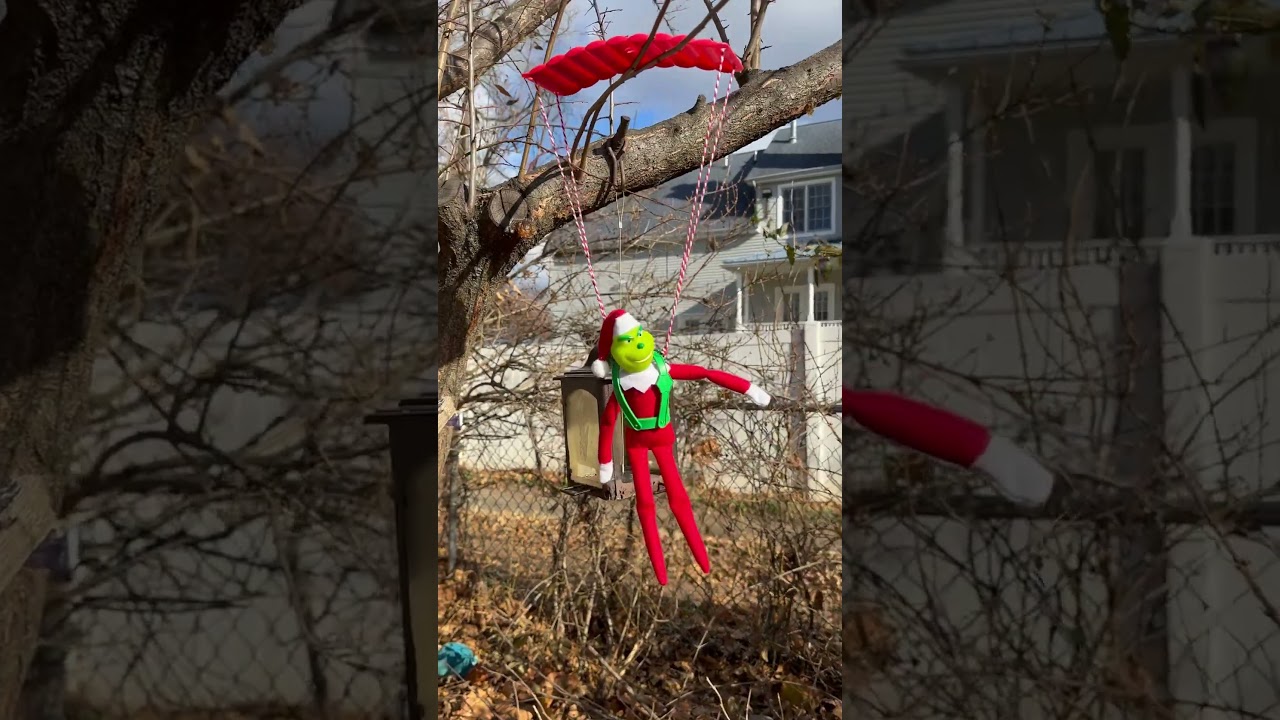 Grinch elf on the shelf, stuck in the tree 🌳 #christmas #thegrinch #christmasgrinch ￼