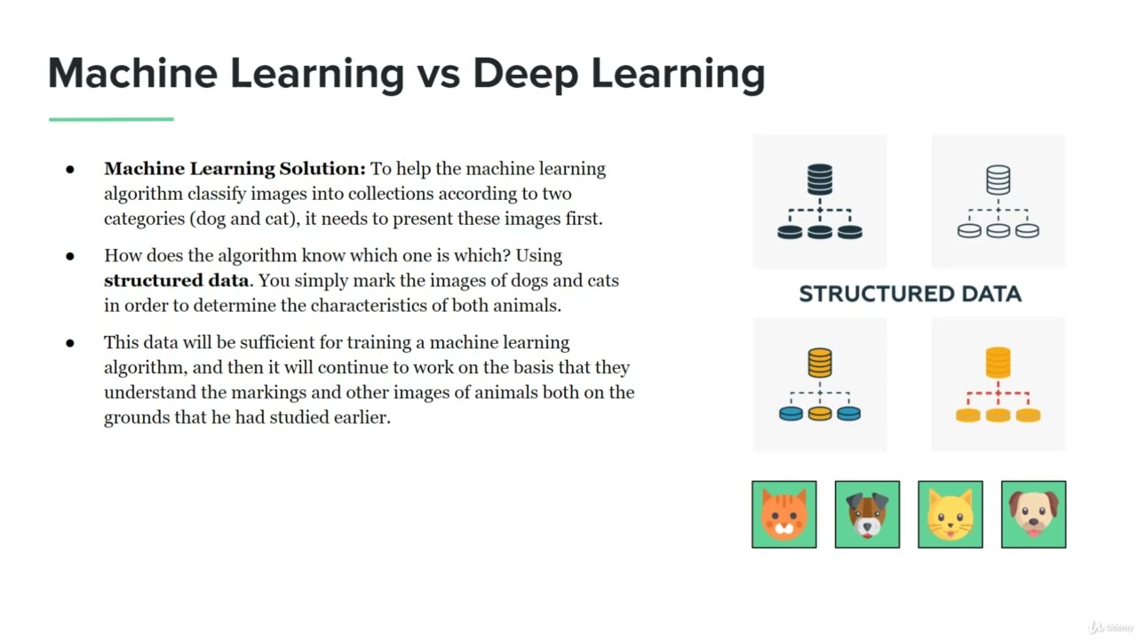 Lecture 6: Machine Learning vs Deep Learning | Key Differences Explained | Tech Lab – AI