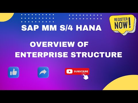 Overview of Enterprise structure in SAP MM S4 HANA|SAP MM Organization structure