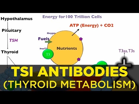Thyroid Stimulating Immunoglobulin (TSI) Antibodies & Thyroid Function