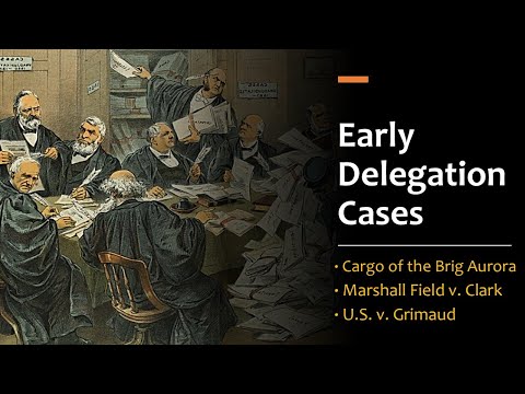 Early Delegation Cases: Cargo of the Brig Aurora, Marshall Field v. Clark, & U.S. v. Grimaud