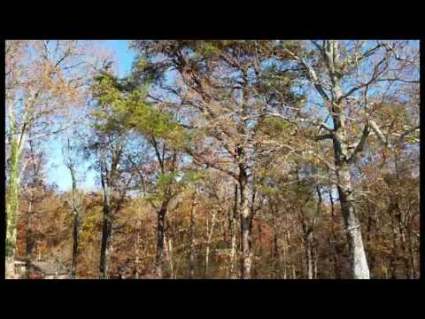 MENTONE, AL - Fighting Drought. High Winds. Wildfires.