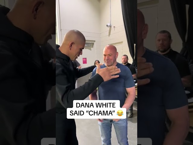 Alex Pereira Chama meaning: Why does Alex Pereira say 'chama'? Meaning behind the now-viral word